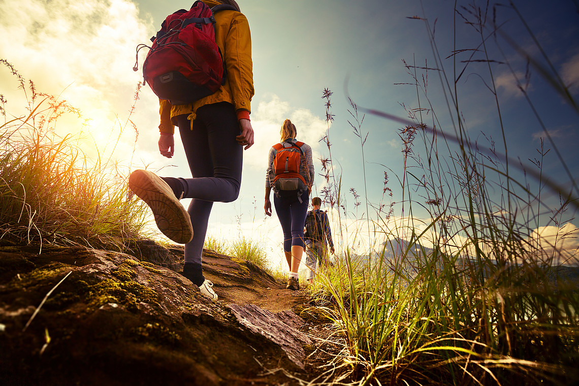 Wandern - Natursport